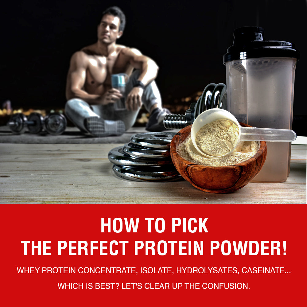 How to Pick the Perfect Protein Powder! – Nutriride